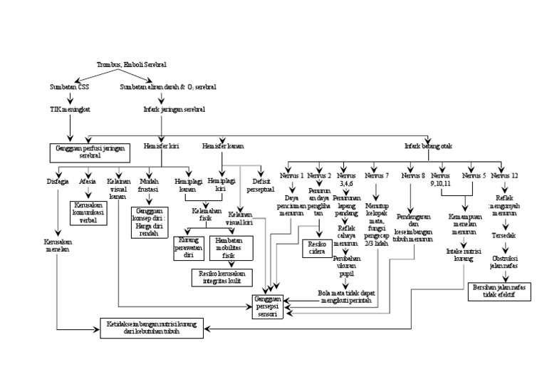 Woc Stroke Non Hemoragik