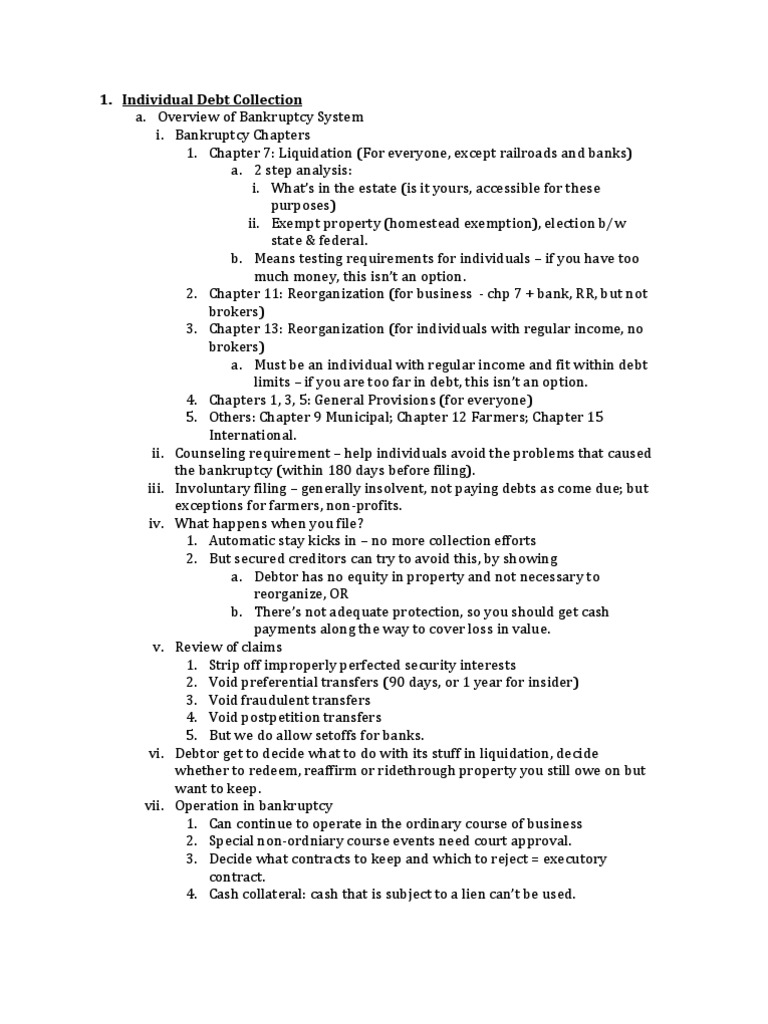 An Overview Of Individual Bankruptcy Law And Procedures In The United