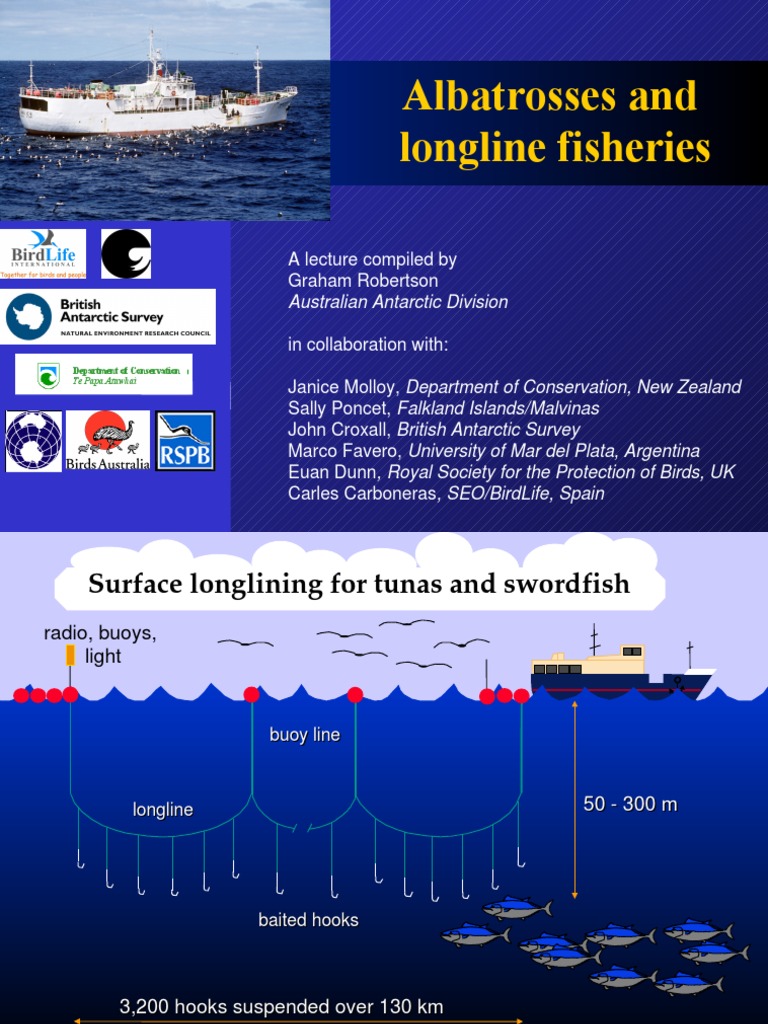 What Is Happening To The Albatross Presentation | PDF | Seabird ...