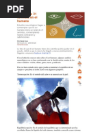 Escala RIFLE en Lesión Renal Aguda | PDF | Función renal | Creatinina