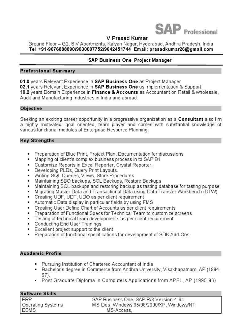 SAP B1 Project Manager Profile | PDF | Computers
