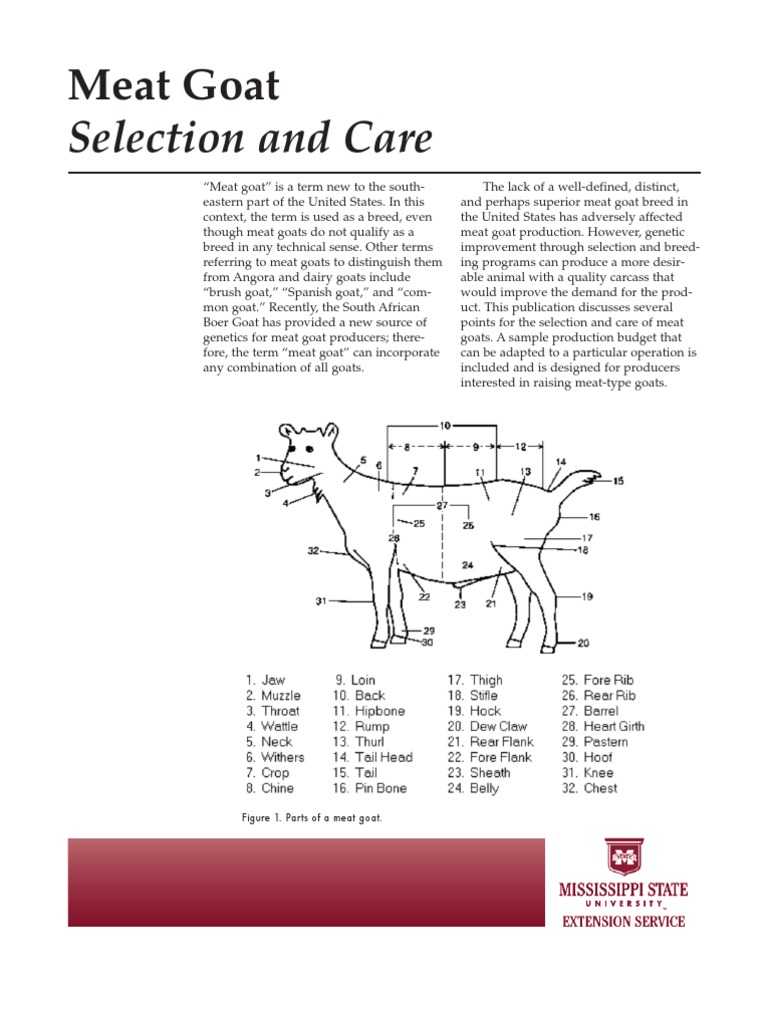 Selection and Care: Meat Goat | PDF | Goat | Selective Breeding