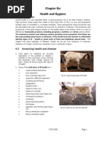 Normal Vital Signs for Goats | PDF | Goat | Thermoregulation