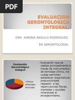 Haq Ser Spanish Questionnaire | PDF