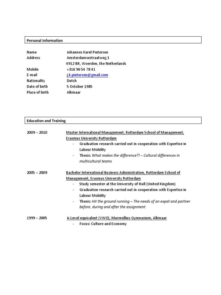 Dutch CV Example for Job Applications | PDF