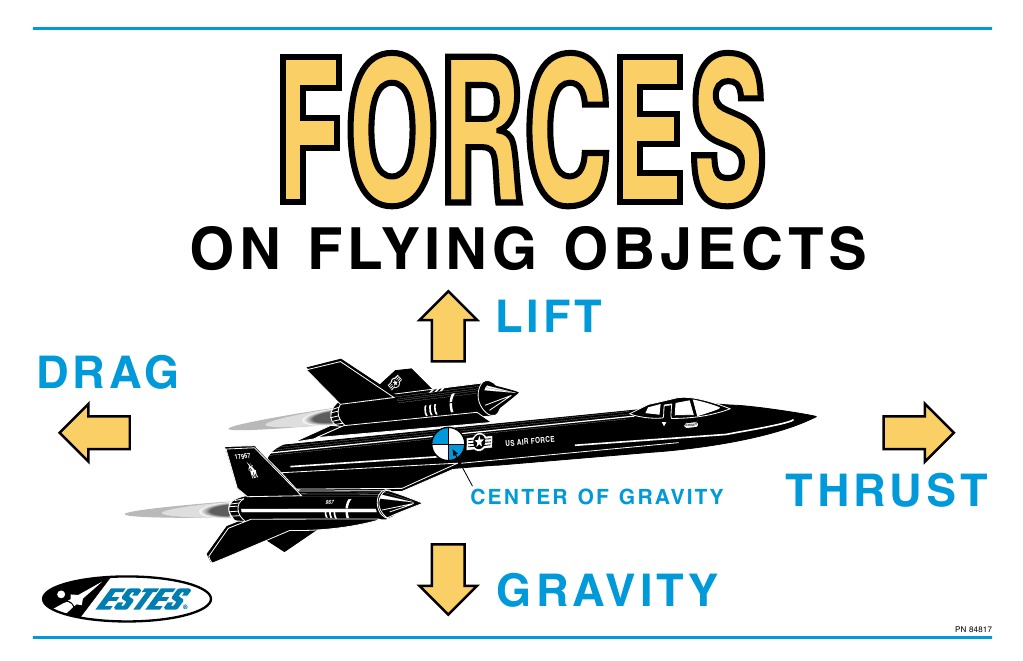 Forces of Flight | PDF