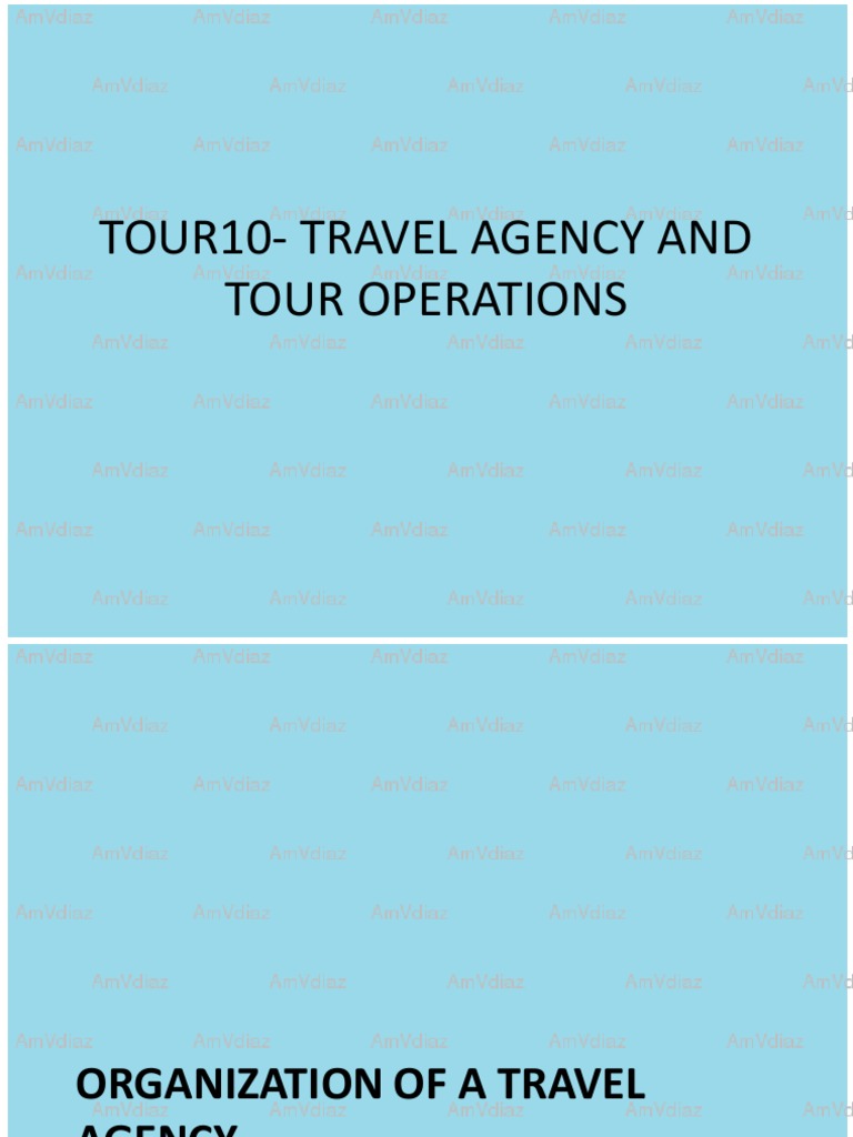 Tour10 - Organization of A Travel Agency | PDF | Sales | Marketing