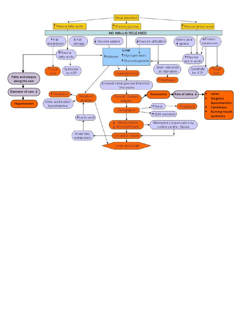 Bagan Diabetes | PDF