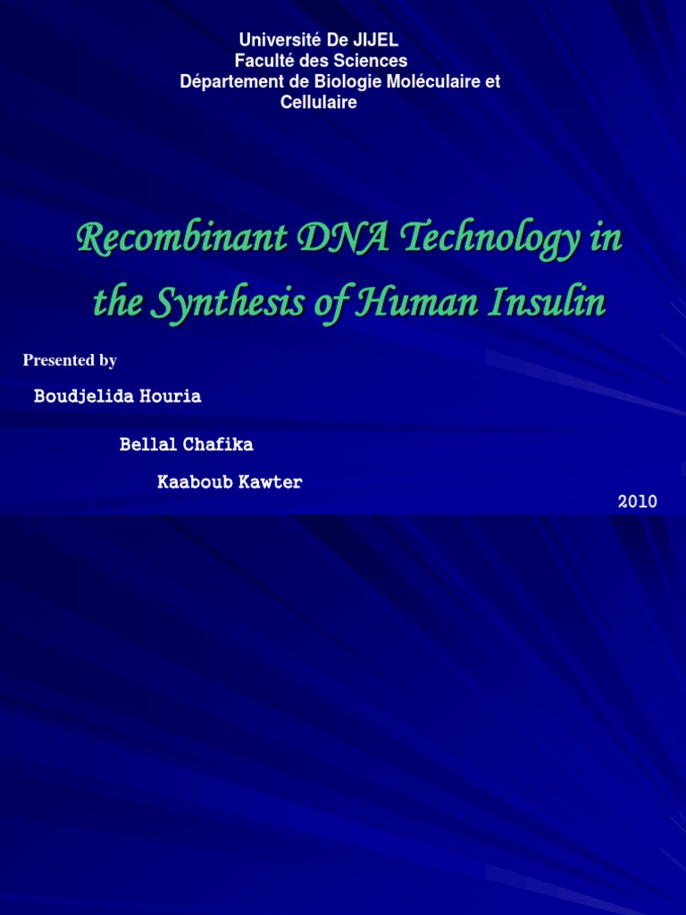 Insulin Production via Recombinant DNA | PDF | Insulin | Molecular Cloning