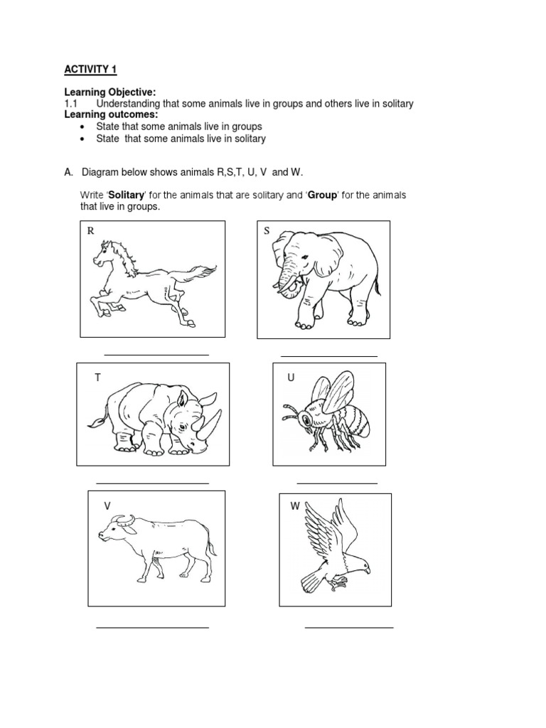 Animals (Solitary and Groups) | PDF