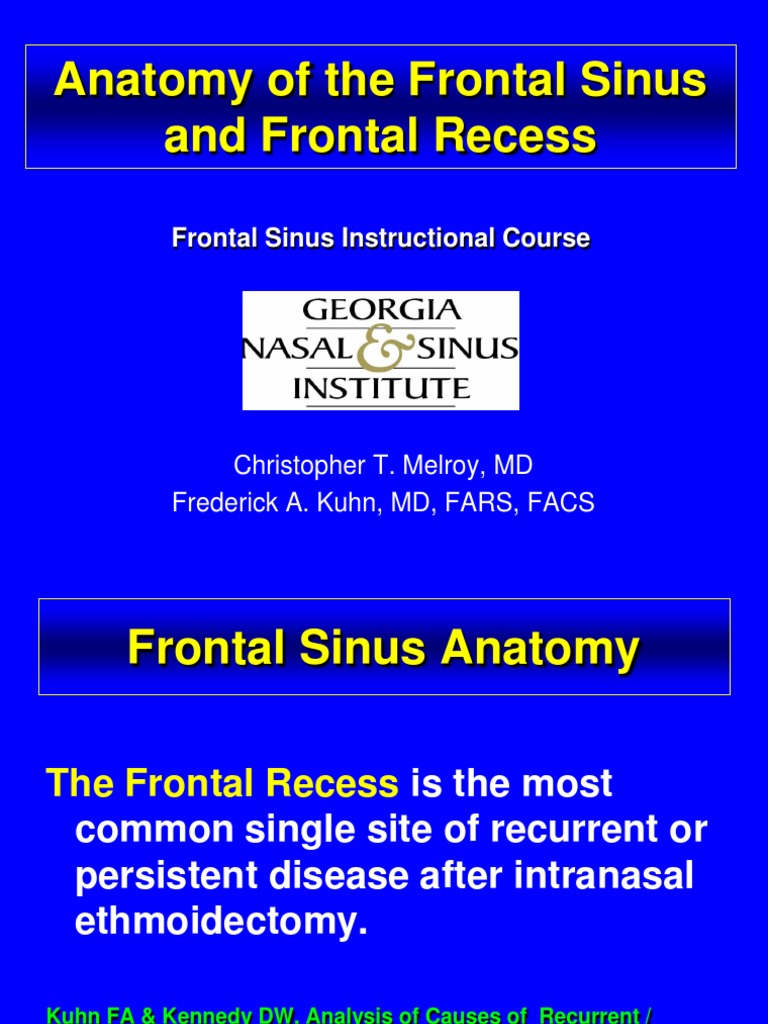 Anatomy of Frontal Sinus & Recess | PDF | Human Head And Neck ...