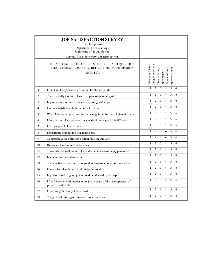JSS Questionaire | PDF | Social Psychology | Business
