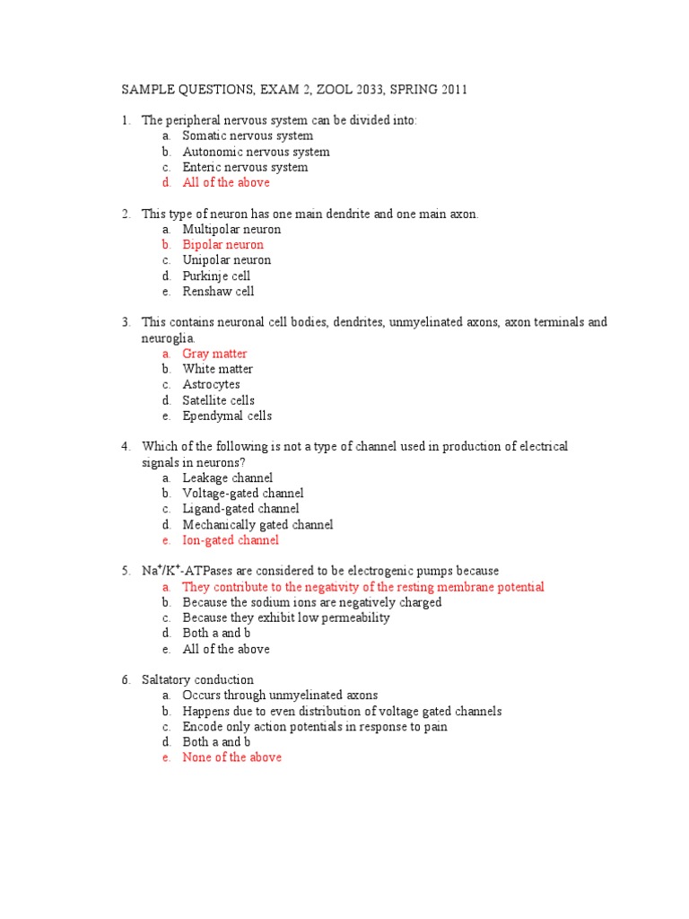 Sample A&P Questions | PDF | Brainstem | Neuron