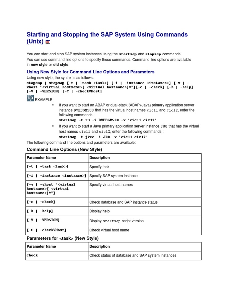 Starting And Stopping The Sap System Using Commands Pdf Computer Programming Information