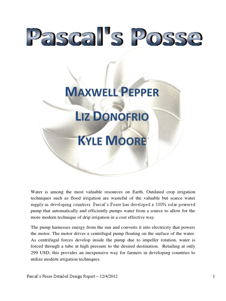 Detailed Design Report | PDF | Prototype | Pump