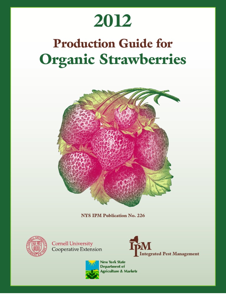 Organic Strawberries: Production Guide For | PDF | Organic Farming ...