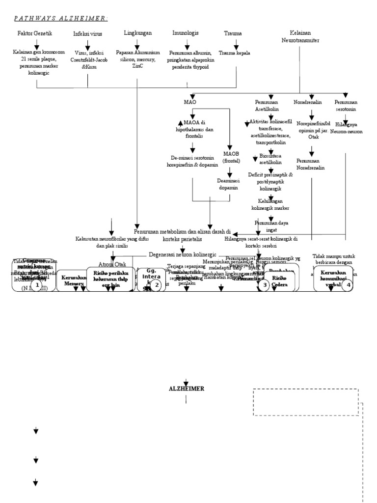 Pathway Alzheimer | PDF