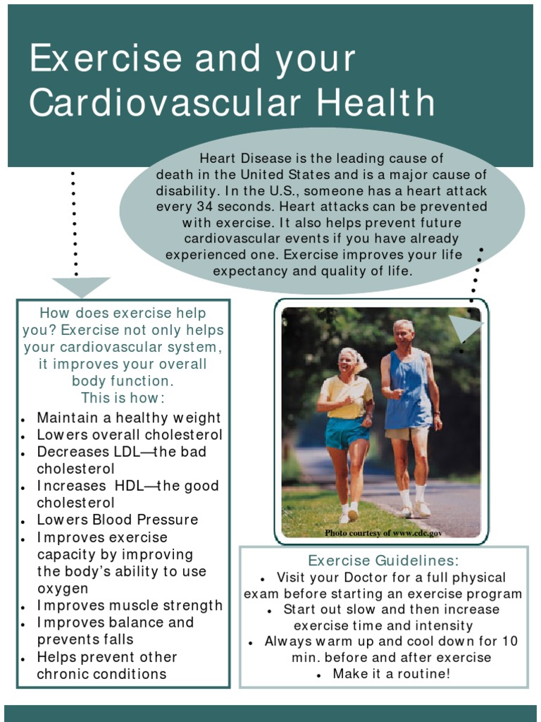 Exercise and Cardiovascular Health | PDF | Physical Exercise ...