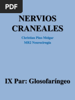 Inervación de La Laringe | PDF