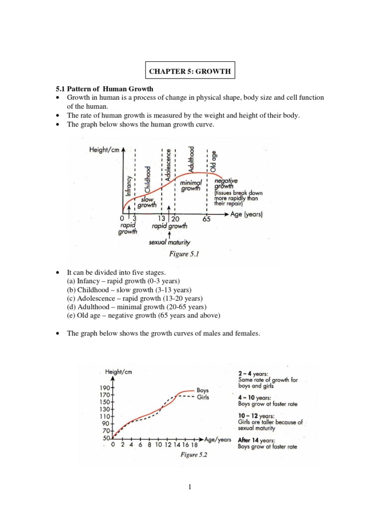 Science Form 3 Chapter 5 - Growth | PDF
