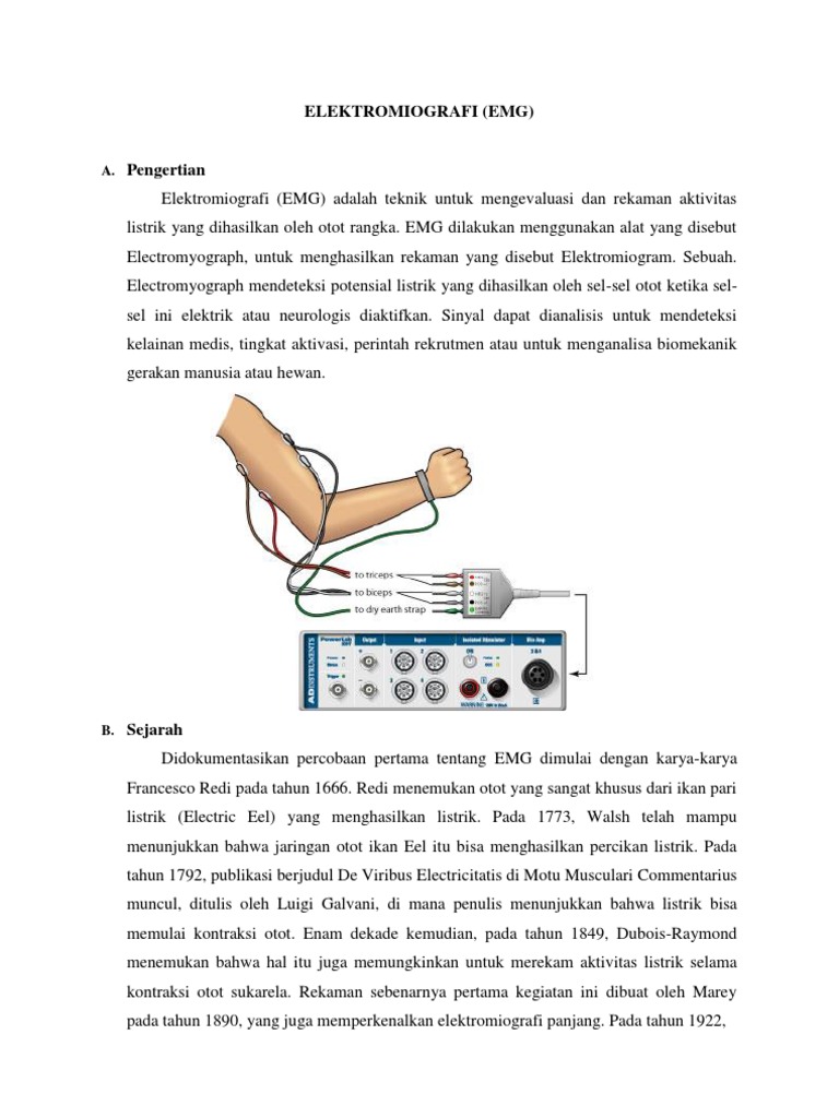 ELEKTROMIOGRAM | PDF