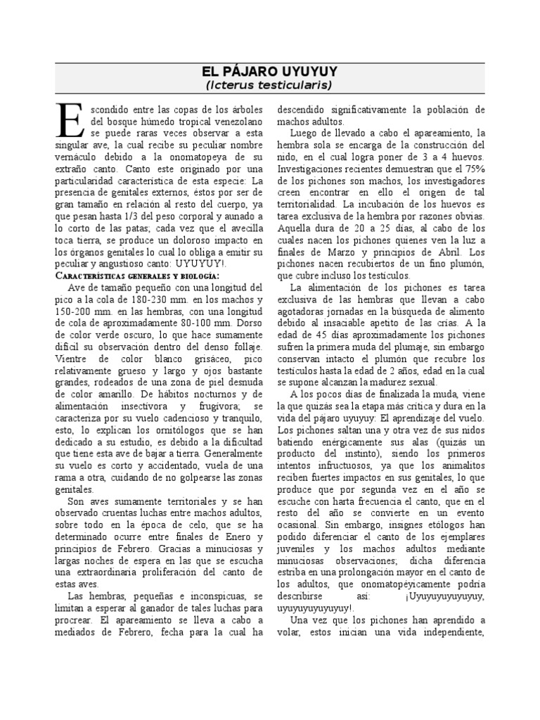 El Fascinante Pájaro Uyuyuy | PDF | Aves | Adultos