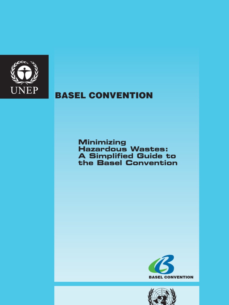 Basel Convection Simple Guide | PDF