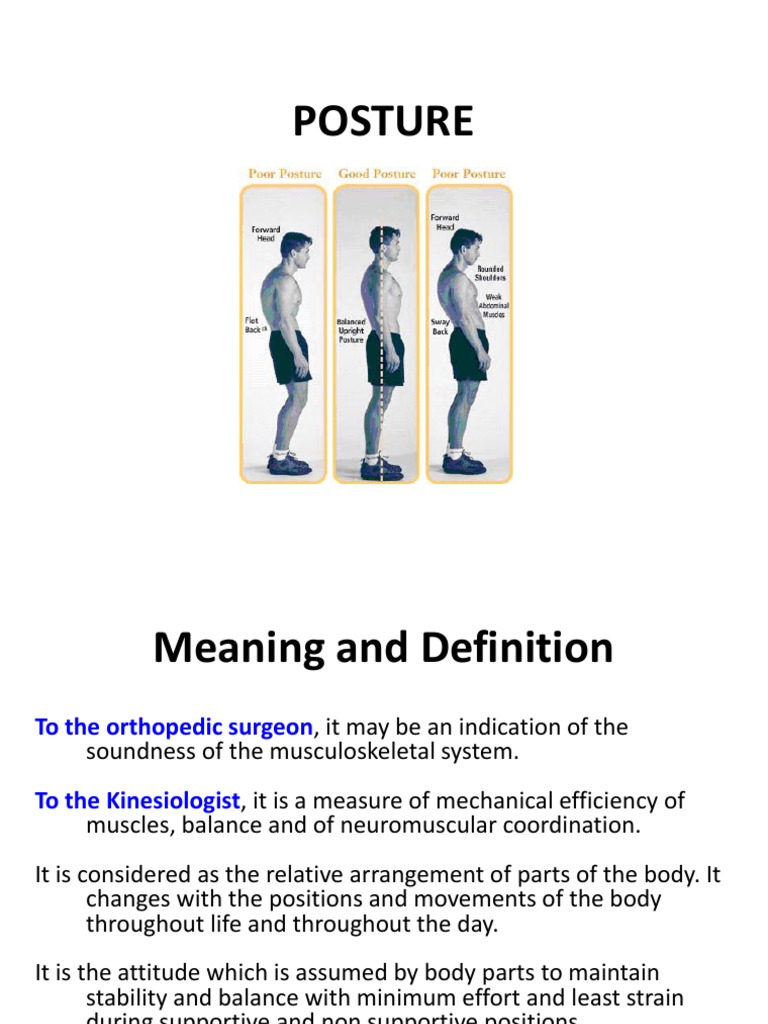 Posture | Download Free PDF | Balance (Ability) | Pelvis