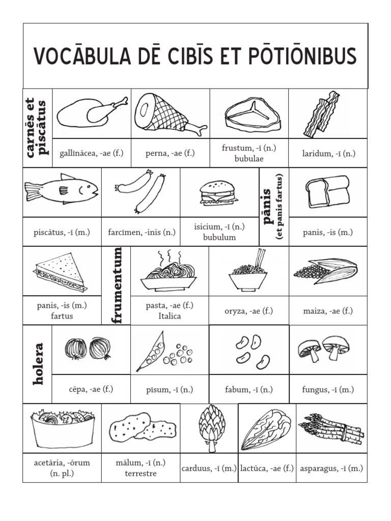 Latin Vocabulary for Food and Drink | PDF