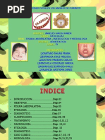 Microglosia y Macroglosia | PDF | Inflamación | Lengua