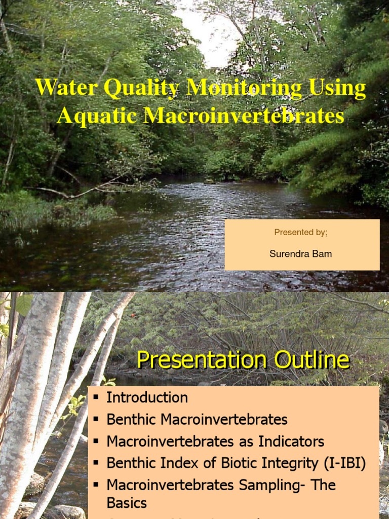 Benthic Macroinvertebrates | PDF | Water Quality | Benthic Zone