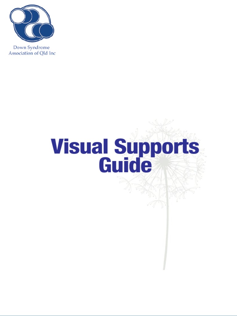 Visual Supports Guide | PDF | Speech | Memory