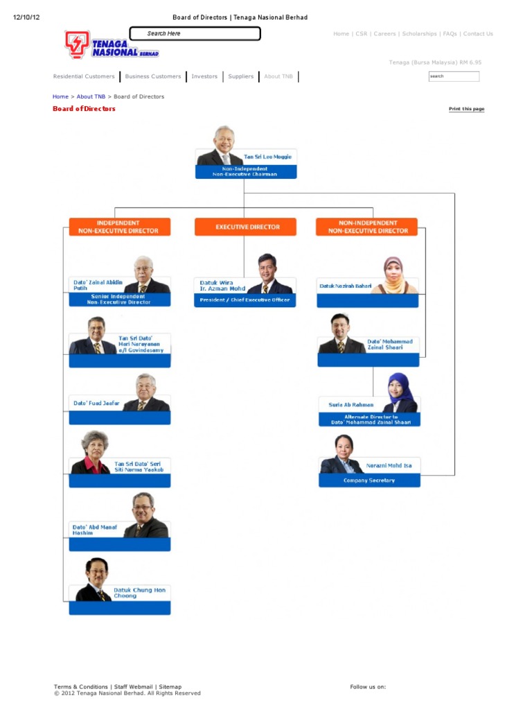 TNB Board of Directors Overview | PDF