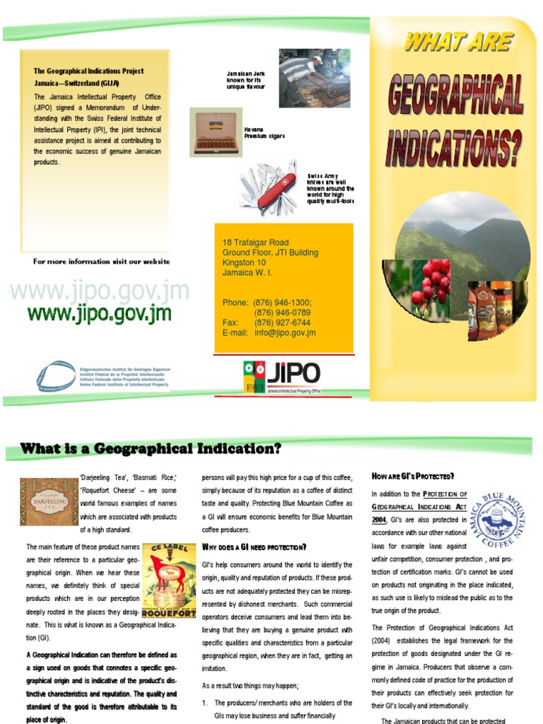 Protecting Geographical Indications | PDF | Marketing | Consumers