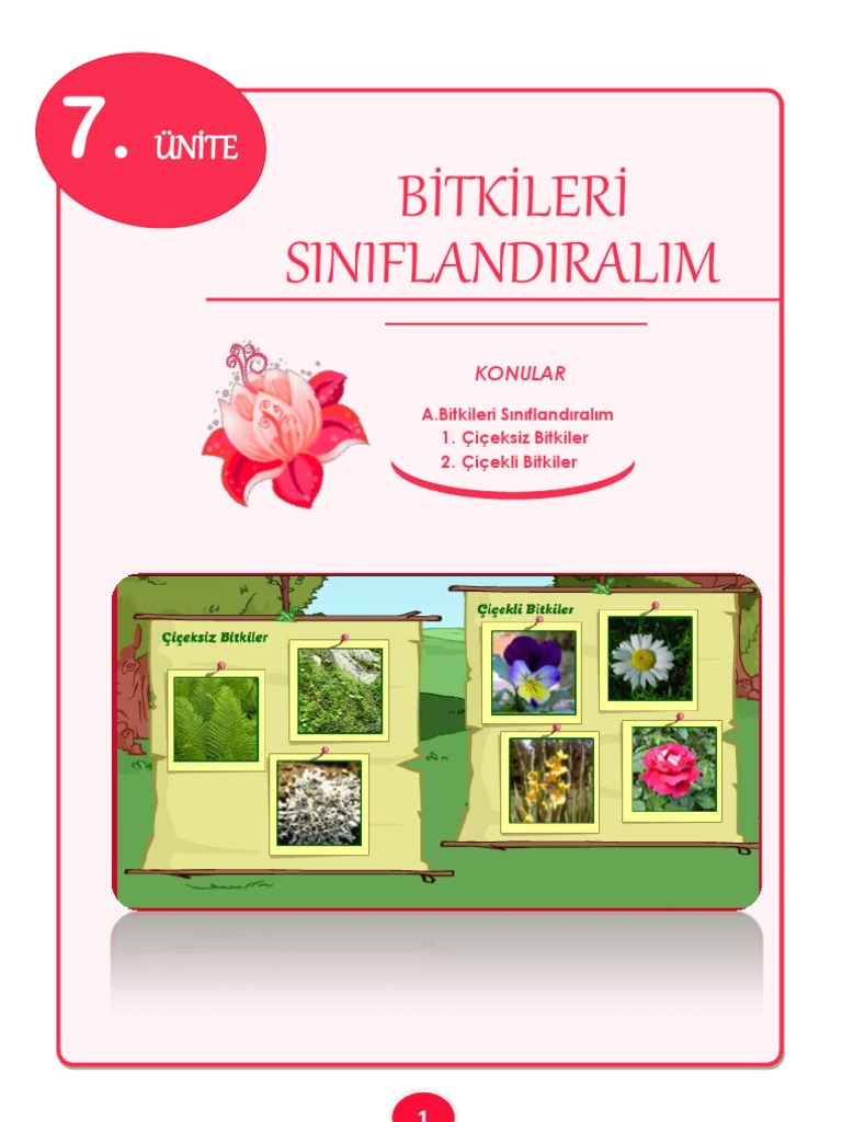 7.bitkiler Konu Anlatımı | PDF