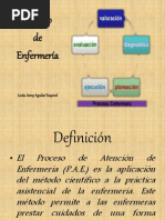 Proceso de Atención de Enfermería (PAE) Libro | PDF | Examen físico ...