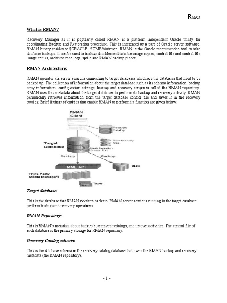 What Is RMAN | PDF | Backup | Oracle Database