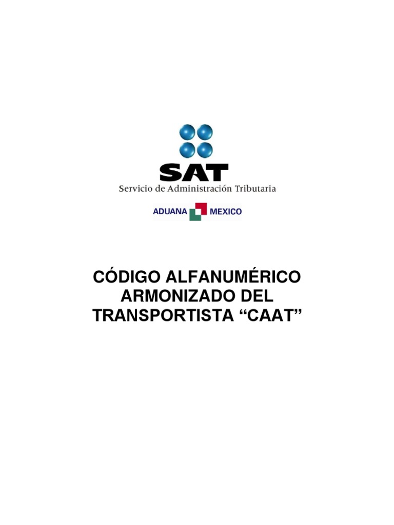 Manaul de CAAT | PDF | Contraseña | El comercio internacional