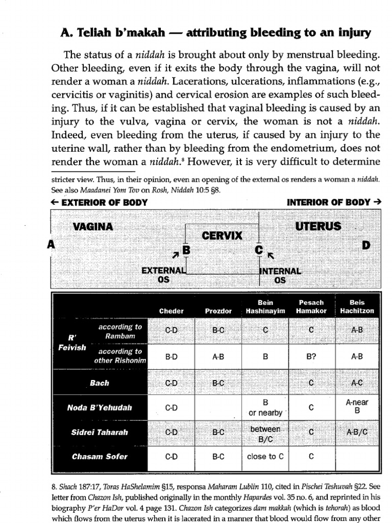 Artscroll Niddah - Makkah | PDF | Jewish Law | Sexual Health