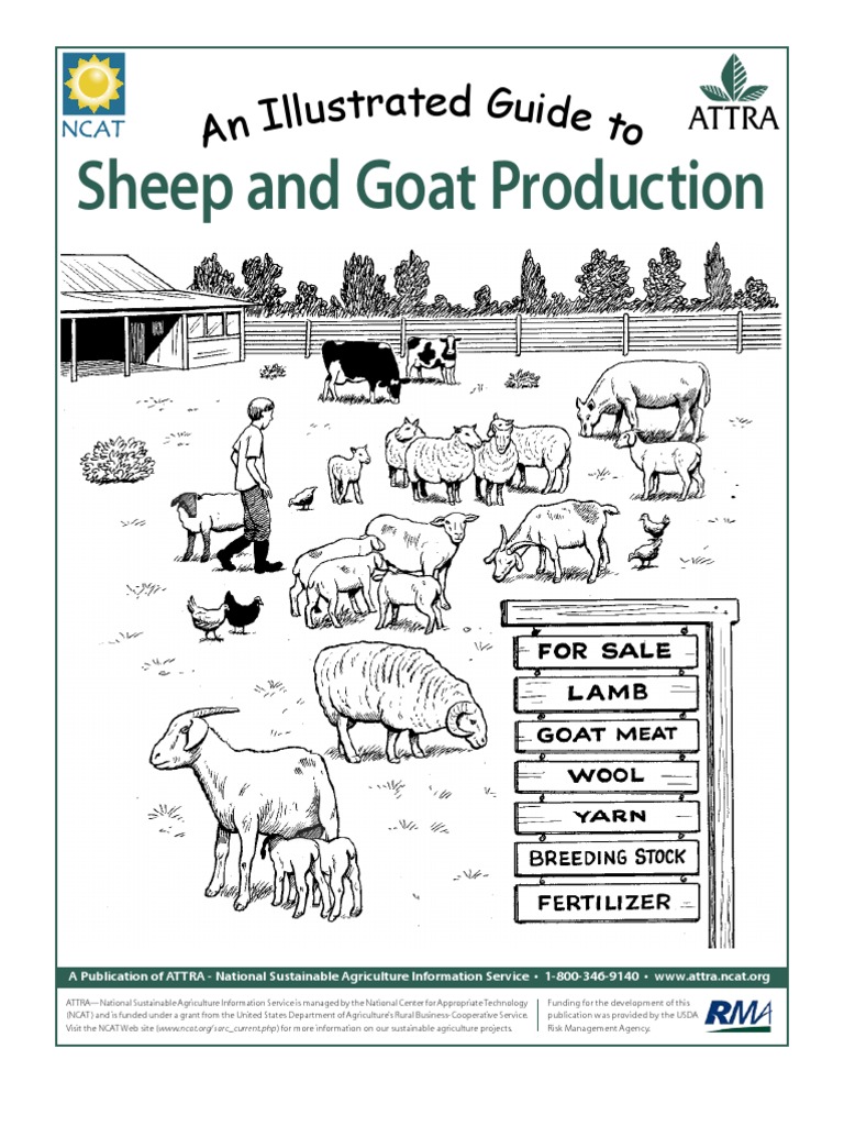 Goat Farm | PDF | Sheep | Goat
