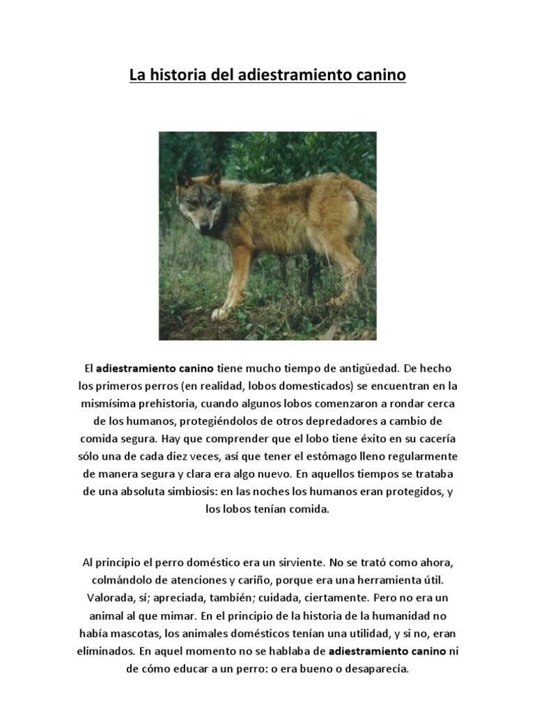 Historia del adiestramiento canino | PDF | Lobo gris | Perros