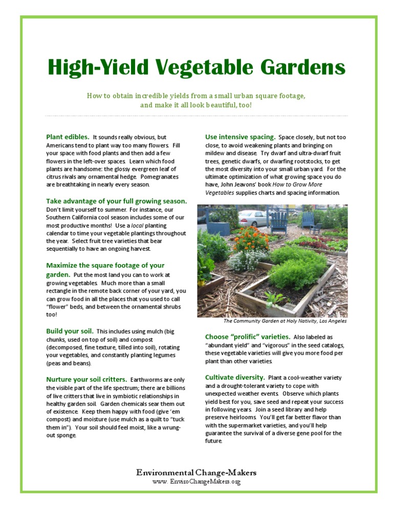 High-Yield Vegetable Gardening | PDF | Vegetables | Mulch