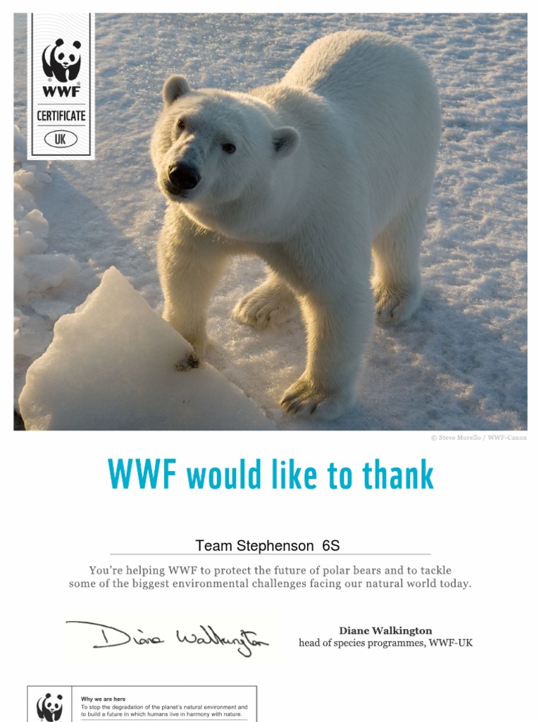 WWF Certificate | PDF