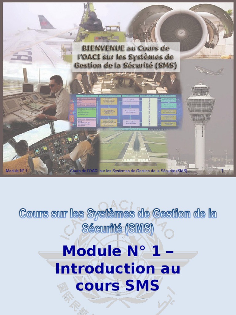 Introduction au Cours OACI SMS | PDF | Sécurité des systèmes d ...