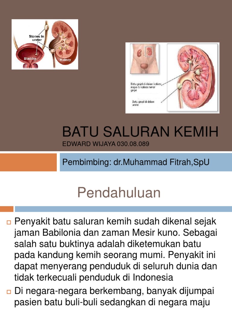 Batu Saluran Kemih-2 | PDF