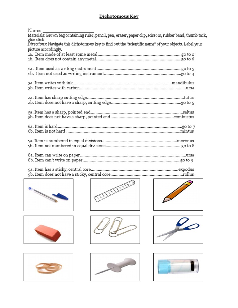 Classroom Dichotomous Key Activity | PDF | Computers