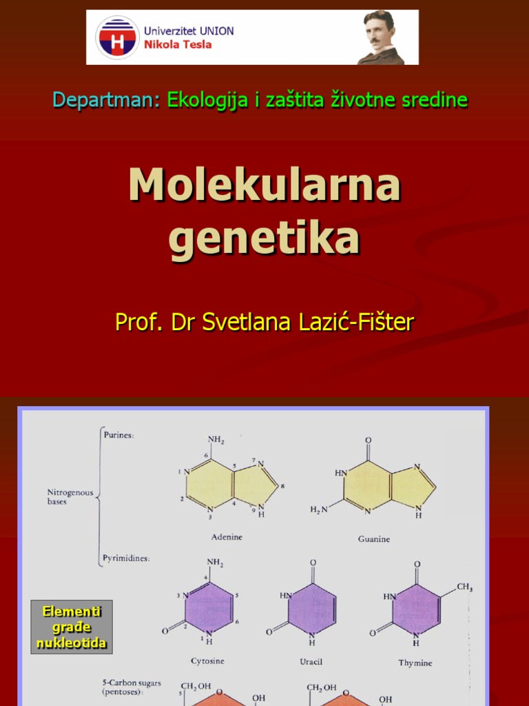 Molekularna Genetika | PDF