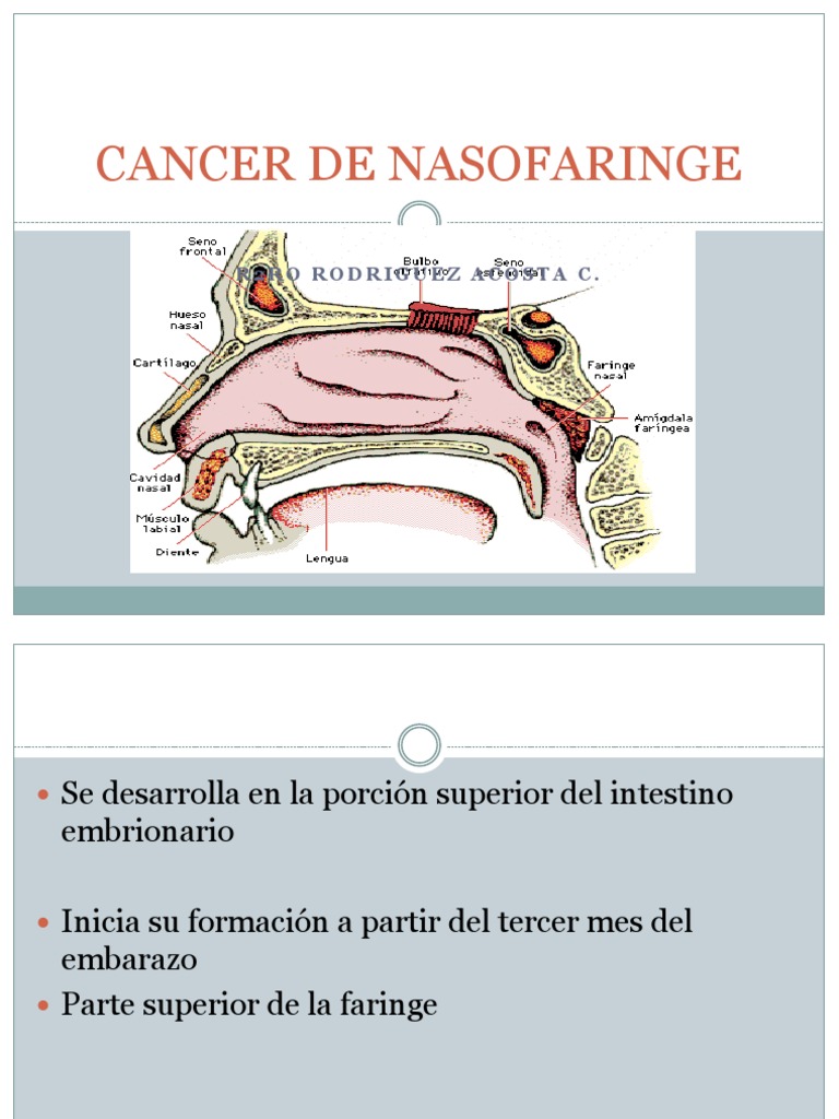Cancer de Nasofaringe Crispi Nuevo | PDF | Anatomía | Anatomia animal