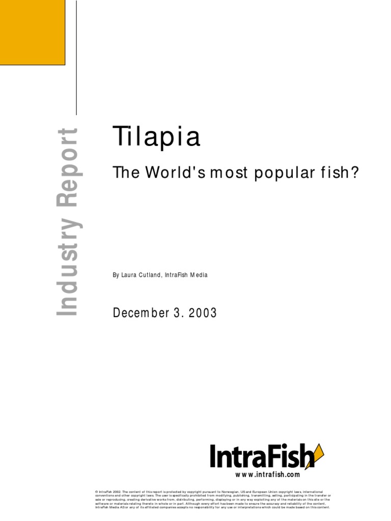 Tilapia The World's Most Popular Fish | PDF | Aquaculture | Retail