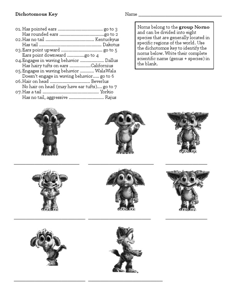 Blank Dichotomous Key Worksheet